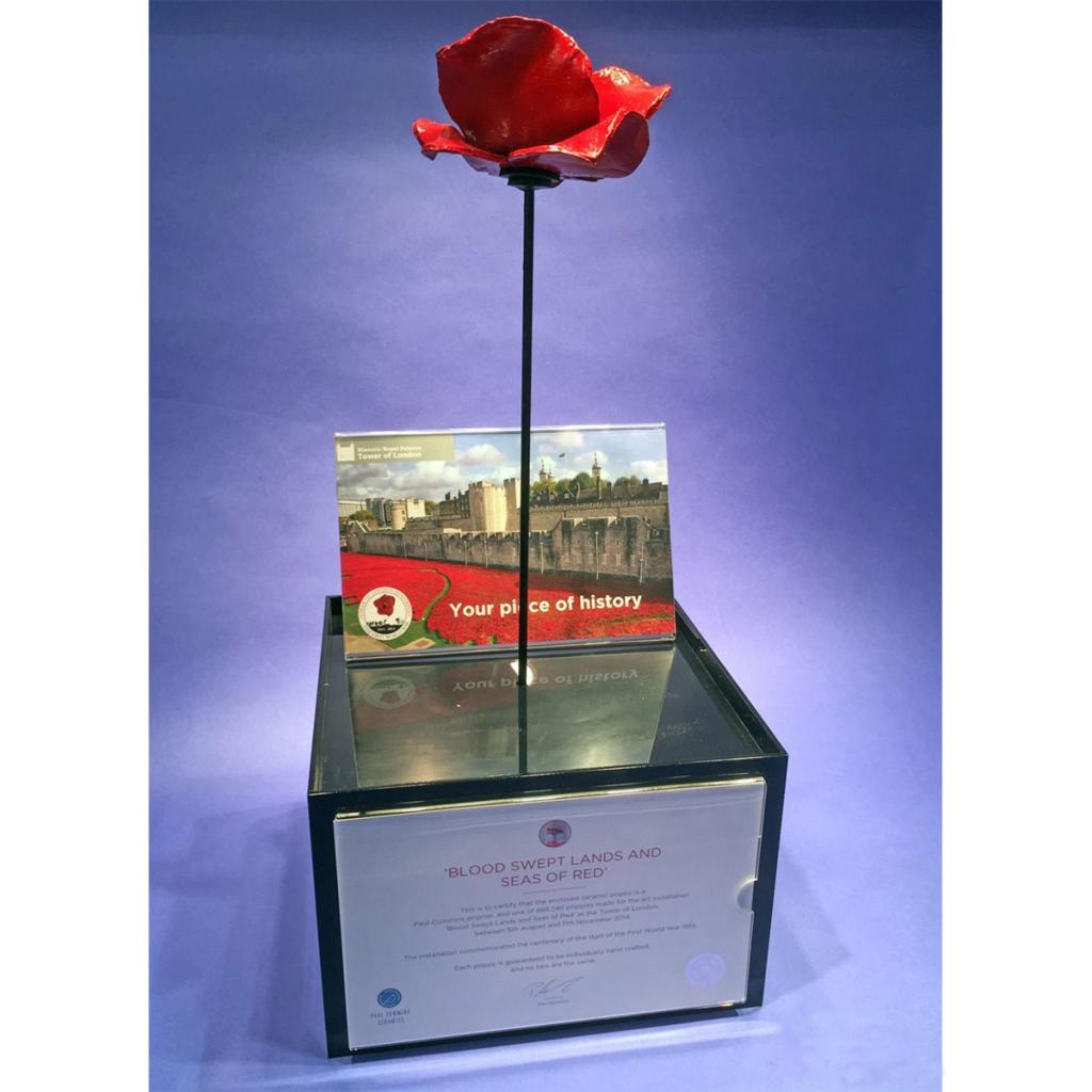 Poppy Display Case with Stem | Display Case UK
