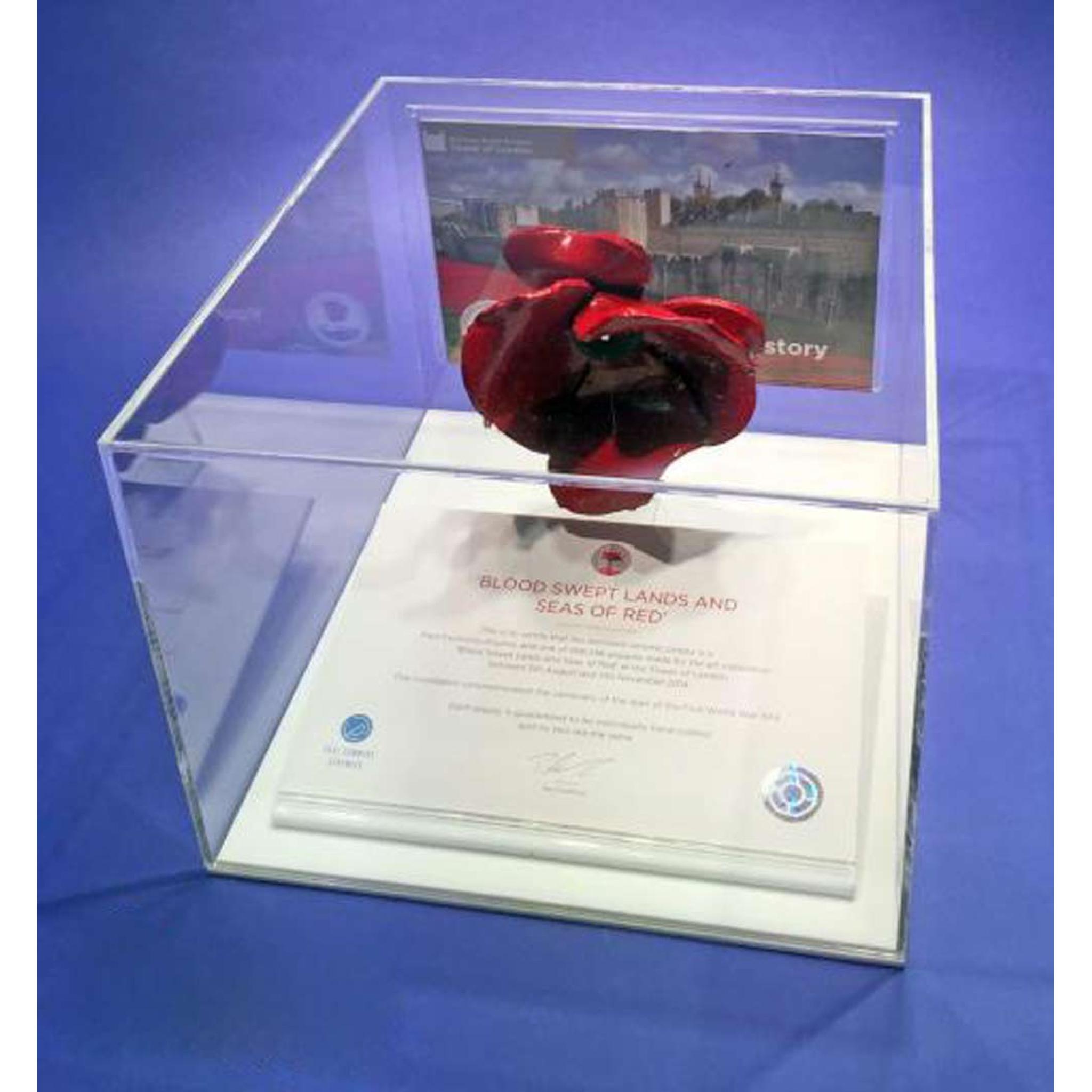 Poppy Display Case | Puffin Plastics