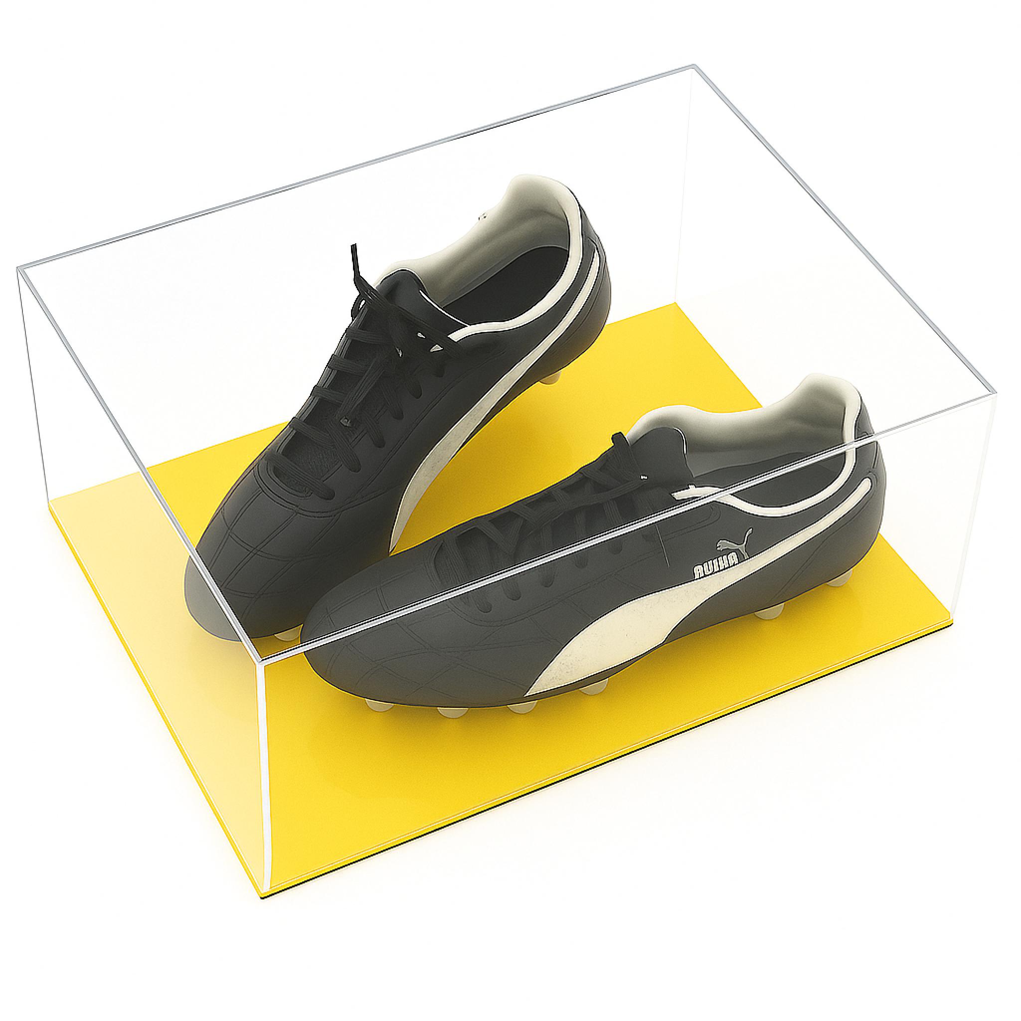 Collectable Display Case | Double Colour Base